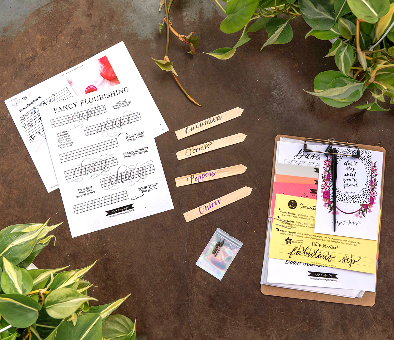 Modern Calligraphy and Plant Pot Lettering for Beginners at Mahoney's ...